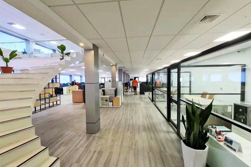 Types of Office Layouts: A Comprehensive Guide - XINDA CLOVER